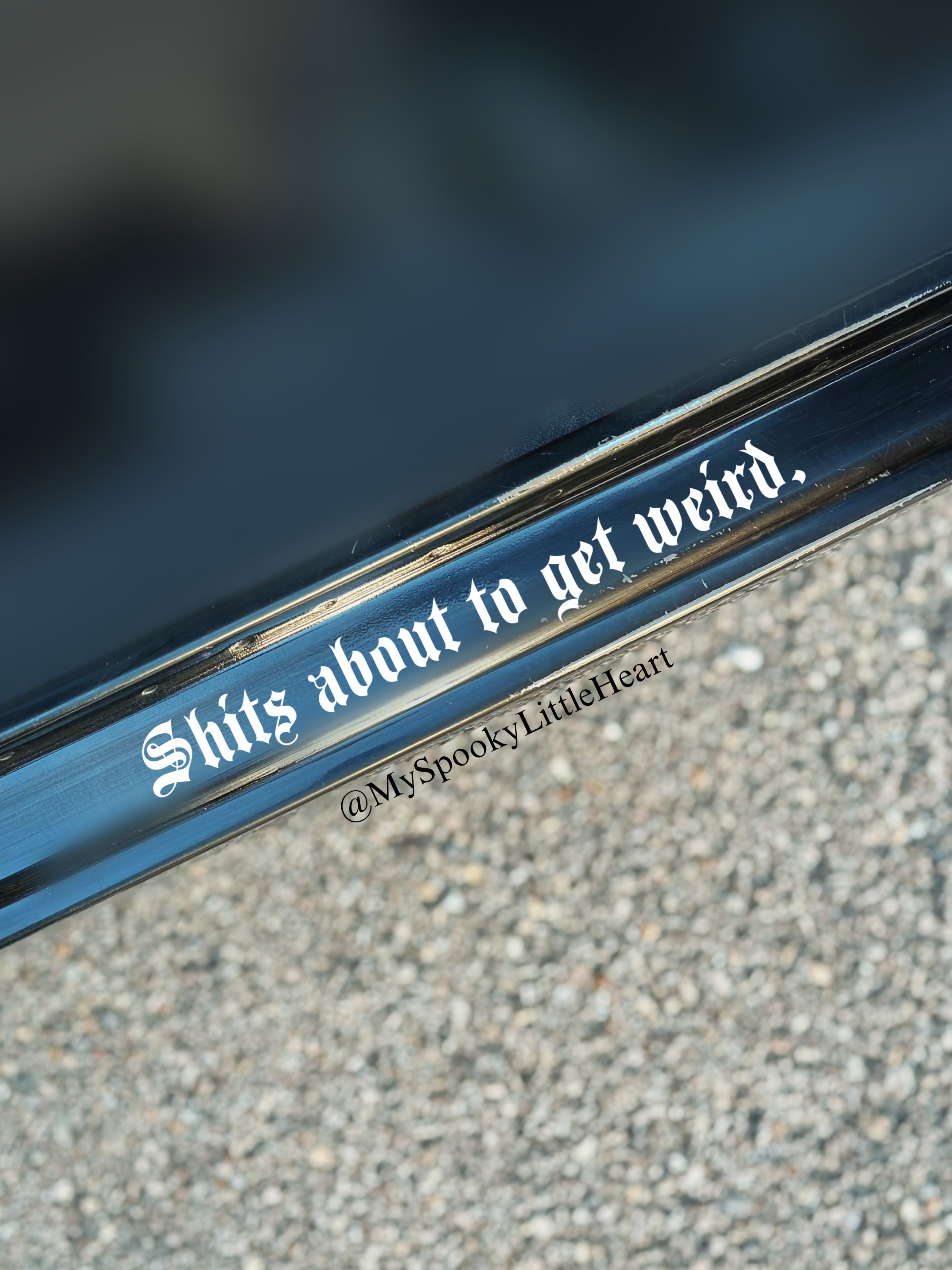 Shits about to get weird, Funny Passenger Vinyl Decal – My Spooky ...